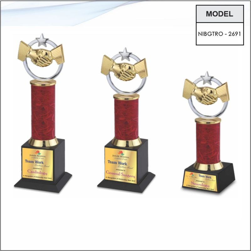 Trophy – 12 inches (Big One) – Newgenn India